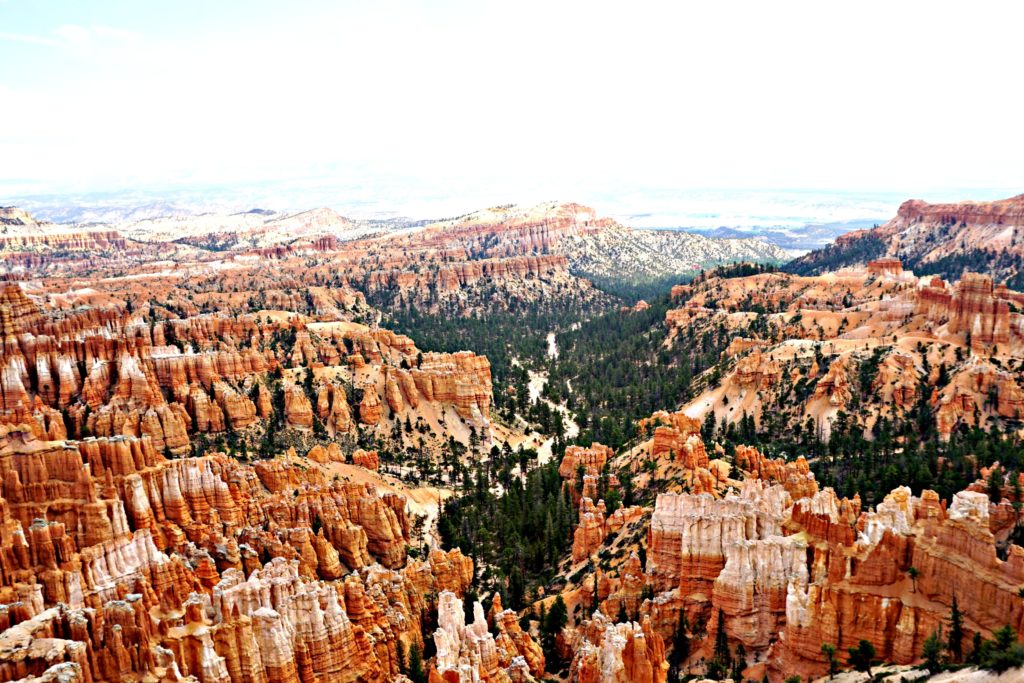 The Ultimate Hiking Guide to Bryce Canyon and Zion National Park